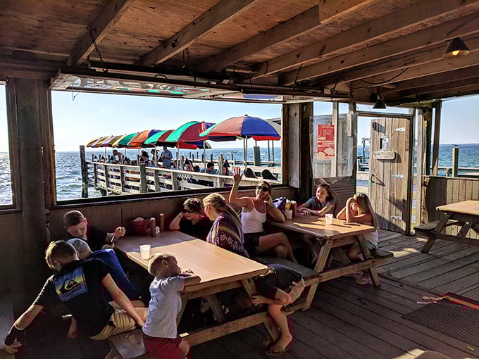 Families gathering around picnic tables, proving that the best meals happen when comfort trumps fancy every time.