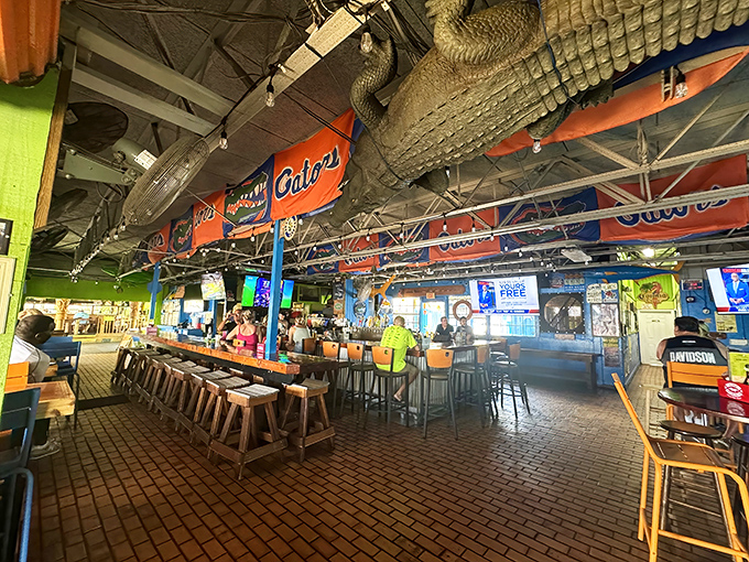 The alligator hanging from the ceiling isn't judging your food choices, but it might be eyeing your leftovers.