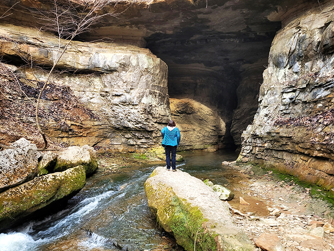 Nature's own cathedral awaits at Donaldson Cave, where limestone walls frame an adventure worthy of Indiana Jones himself.
