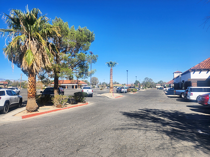 Palm trees standing sentinel in parking lots that never fill&mdash;a reminder that in Ridgecrest, finding a spot is never the day's biggest challenge.