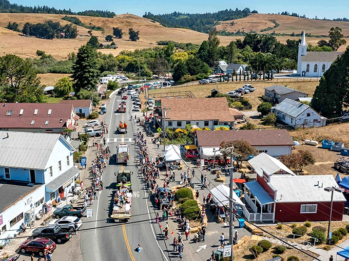 Festival day in nearby Bodega! The inland village (not to be confused with Bodega Bay) comes alive with community spirit and small-town charm.