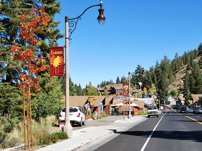 Fall in June Lake paints the town in warm hues, as if nature decided to throw one last colorful party before winter's arrival.