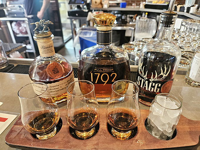 Bourbon flight that promises a journey through America's whiskey heartland. Three amber glasses of liquid sunshine waiting to be savored.