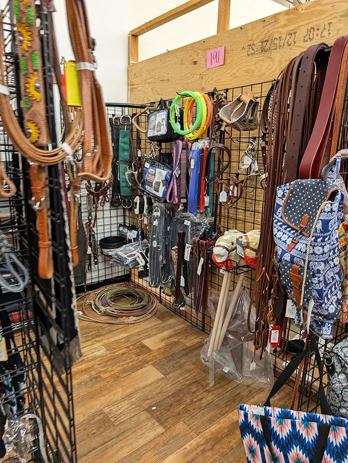 Saddle up for savings! This equestrian corner offers everything from practical riding gear to decorative pieces for the horse-lover in your life.