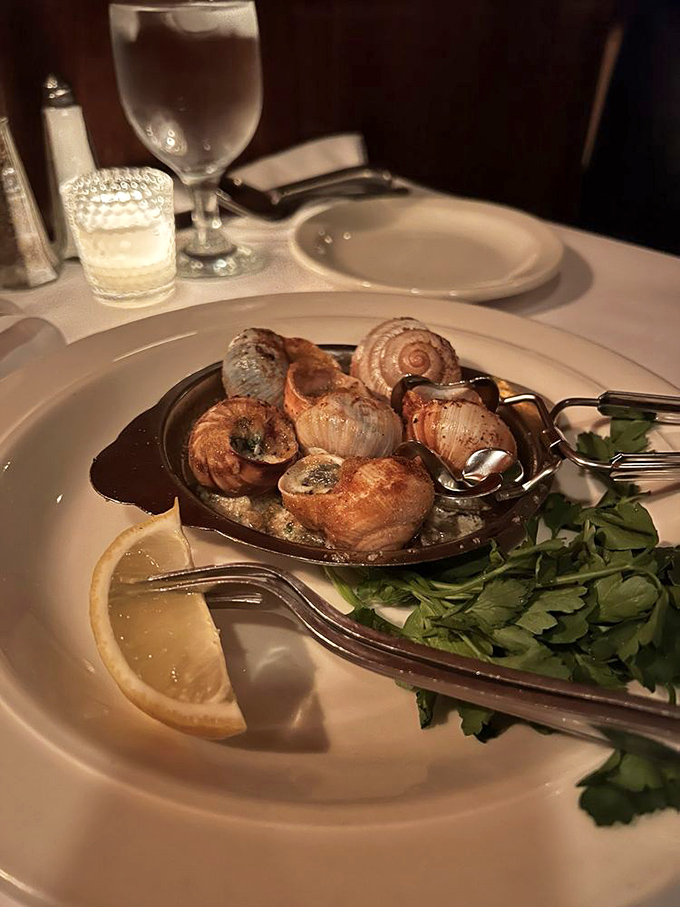 Escargot swimming in garlicky butter proves that sometimes the most intimidating menu items deliver the most memorable flavor bombs.
