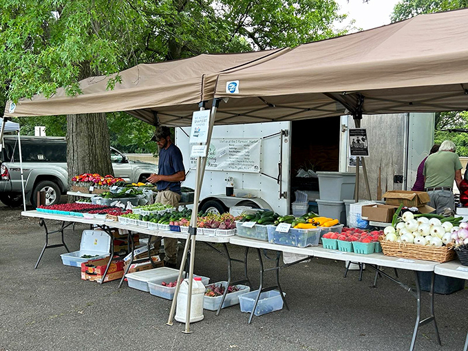 The farmers market transforms parking lots into cornucopias of color, where conversations about heirloom tomatoes can last longer than discussing the weather.
