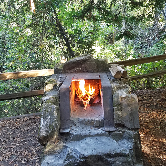 Stone fire pits that have witnessed more s'mores disasters and campfire stories than a summer camp counselor with twenty years' experience.
