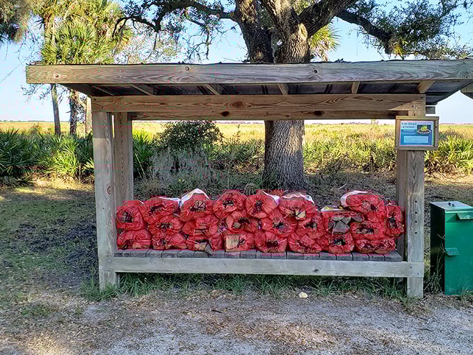 The firewood station&mdash;where city folks learn that Netflix and s'mores don't mix, but stargazing and s'mores absolutely do.