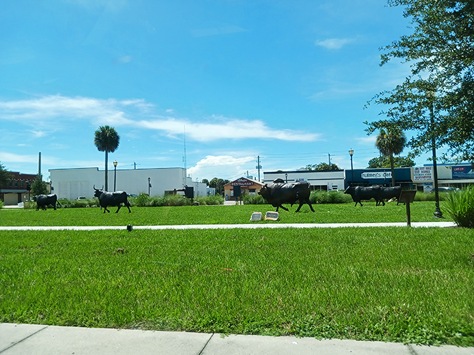 Metal cattle sculptures pay homage to Okeechobee's ranching roots. Where else can you find bovine art installations next to palm trees?