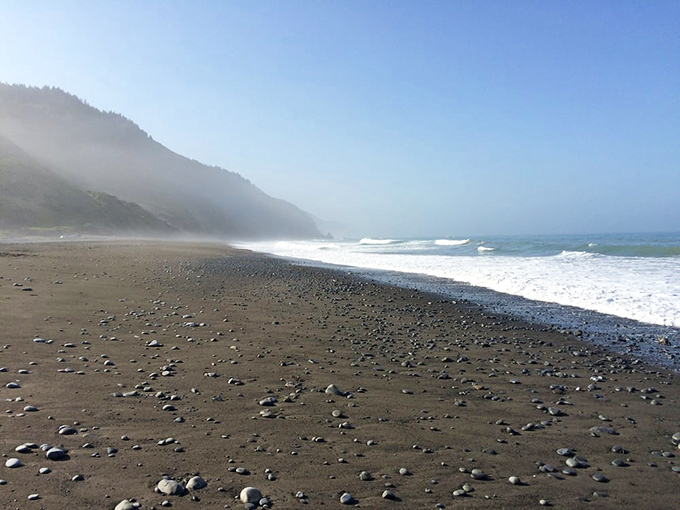 Morning fog rolls in like nature's mystery sauce, transforming familiar landscapes into something magical. No artificial ingredients added.