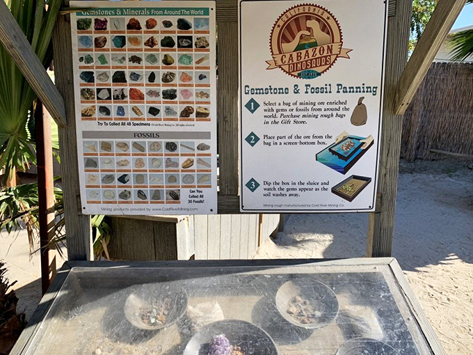 Amateur paleontologists rejoice! The fossil panning station lets visitors sift through history and take home genuine geological souvenirs.