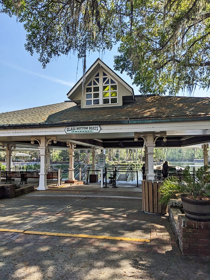 The charming glass-bottom boat pavilion has welcomed generations of visitors, standing as a nostalgic reminder of Florida tourism before roller coasters ruled.