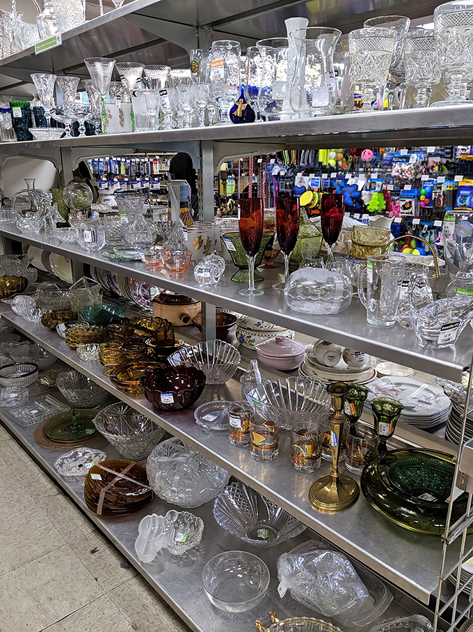 Crystal and glass catching light like diamonds on a budget. These vessels have toasted weddings, celebrated birthdays, and are ready for your next dinner party.