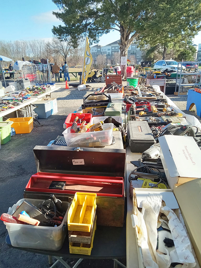 Tool paradise for the practical-minded treasure hunter &ndash; where that perfect vintage wrench or obscure gadget awaits its next project.