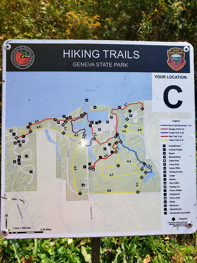 This trail map isn't just directions—it's a treasure map where X marks multiple spots of natural splendor.