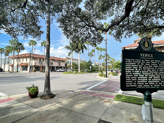 That historical marker tells Venice's story, but the real narrative is written in Mediterranean architecture and swaying palms.