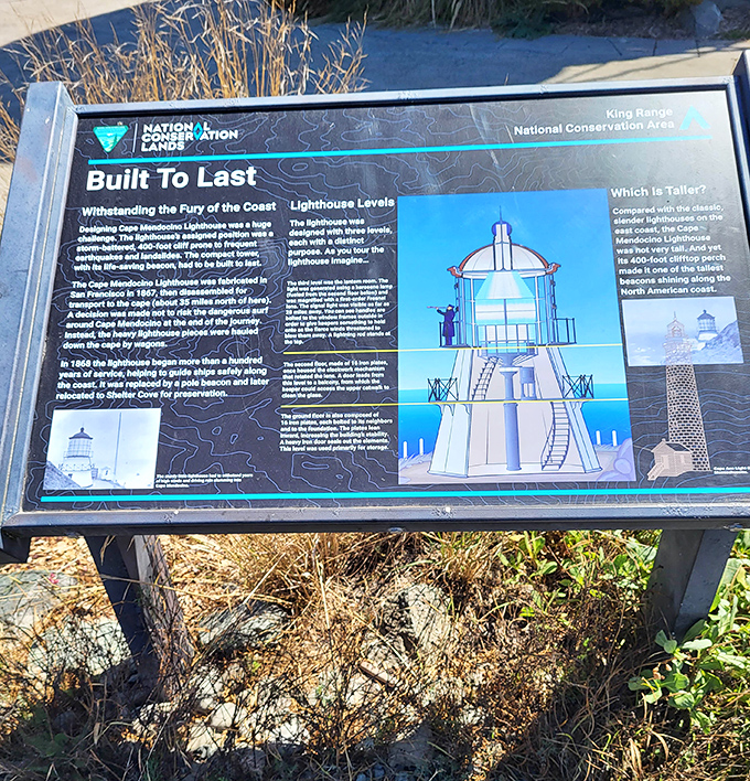 "Built to Last" indeed! This informational board reveals engineering secrets that helped the lighthouse survive earthquakes and fierce coastal storms.