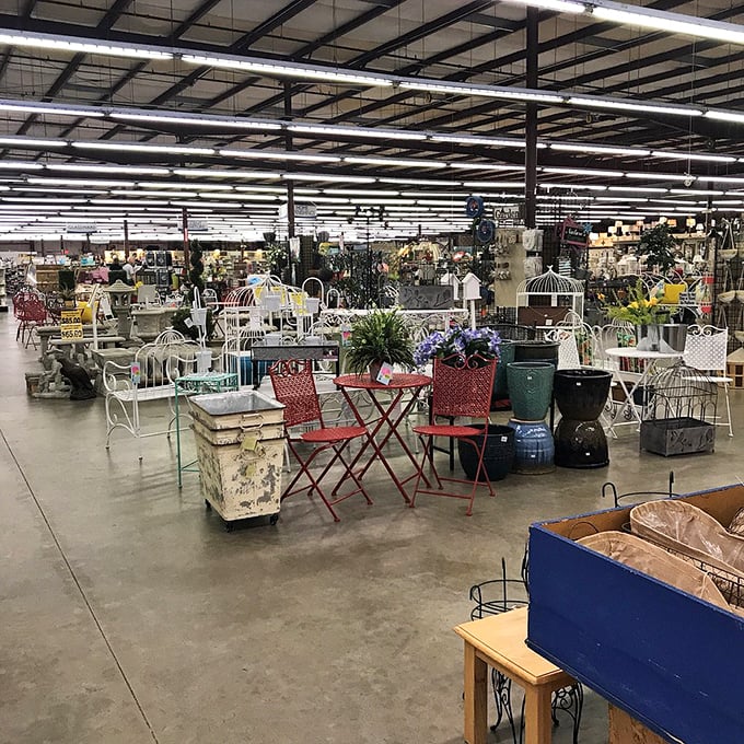 A wonderland of garden furniture and decor awaits, offering pieces that will make your neighbors wonder if you've secretly won the lottery.