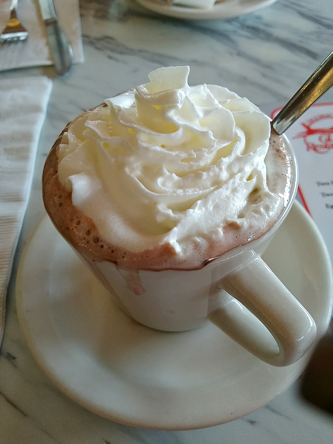 Hot chocolate this decadent, topped with whipped cream peaks, turns any ordinary day into a winter wonderland celebration.