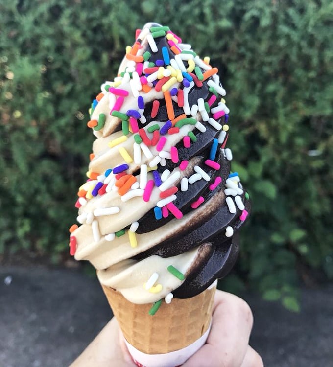 Soft serve perfection in black and white harmony. The rainbow sprinkles add just the right amount of childhood nostalgia to this grown-up treat.