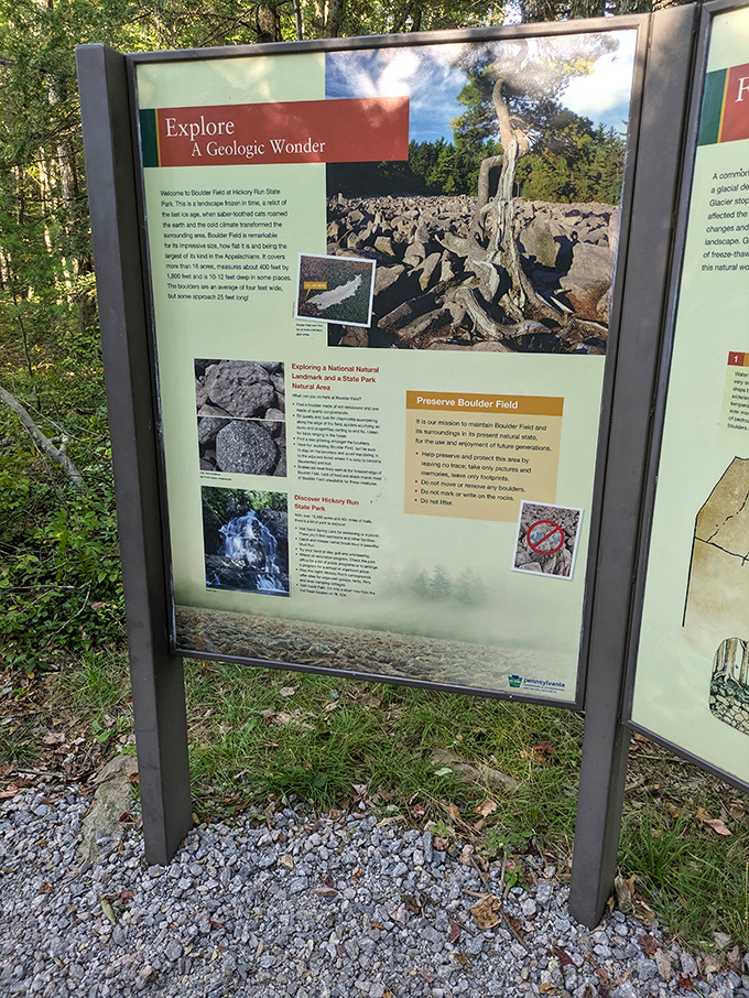 "Explore A Geologic Wonder" isn't overselling it. This information board barely captures the jaw-dropping reality waiting just beyond the trees.