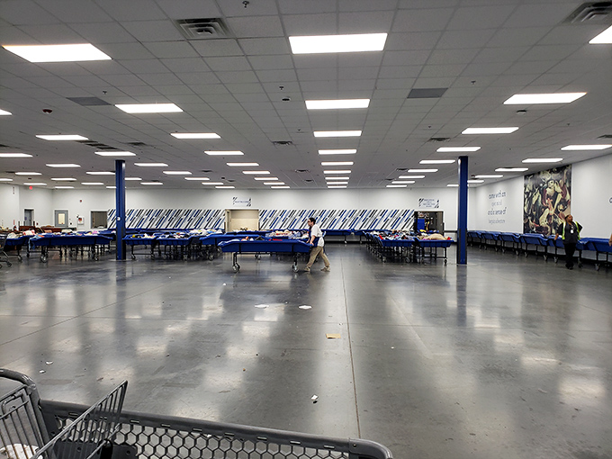 During bin rotations, the floor clears like a reset game board. Seasoned shoppers circle patiently, knowing the next round brings fresh possibilities. 