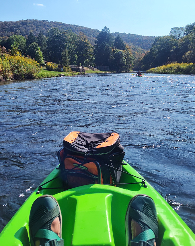 Life from a kayak's-eye view: gliding through nature's cathedral where the ceiling is endless blue and the soundtrack is pure tranquility.