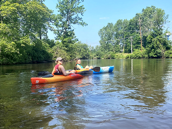 The Kalamazoo River provides Marshall's perfect counterpoint to downtown exploring – a peaceful paddle where nature writes the itinerary.