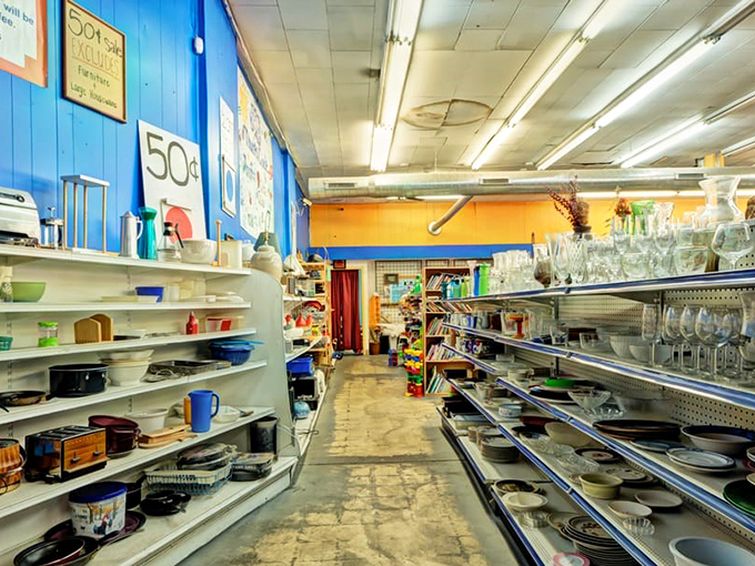 Glassware and dishware line the shelves like an eclectic dinner party waiting to happen. Someone's discarded punch bowl becomes your conversation piece! 