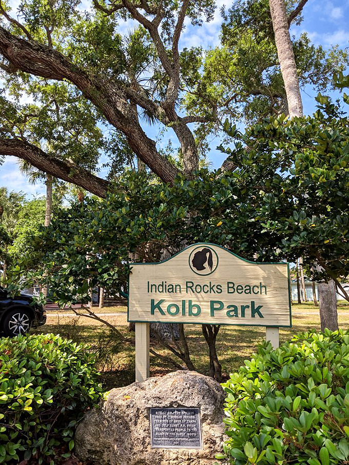 Community parks prove that sometimes the best entertainment is simply watching life unfold naturally around you.