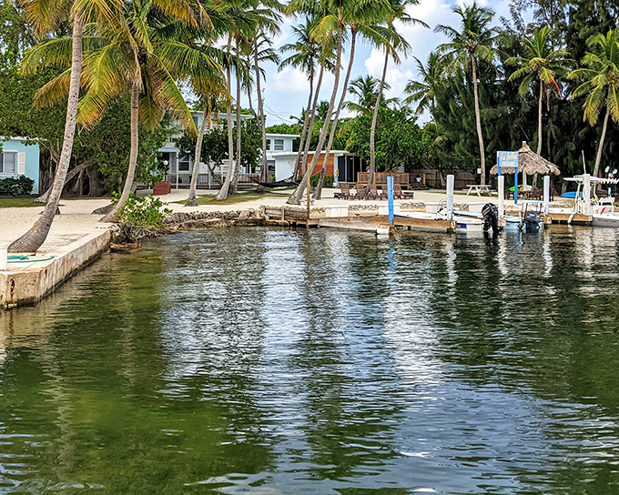 Canals weave through residential areas like liquid streets, where boats replace cars and "rush hour" means pelicans diving for dinner.