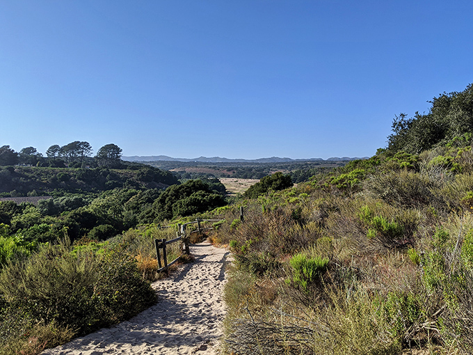 La Purísima's hiking trails offer nature's therapy at no cost. The kind of views that make you wonder why anyone pays for meditation apps.