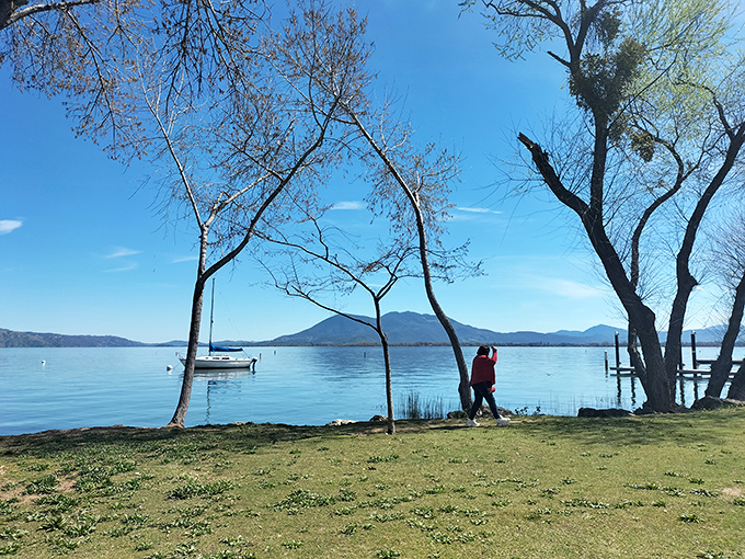 Nature's masterclass in tranquility&mdash;where trees frame the lake view like they're showing off their favorite portrait.