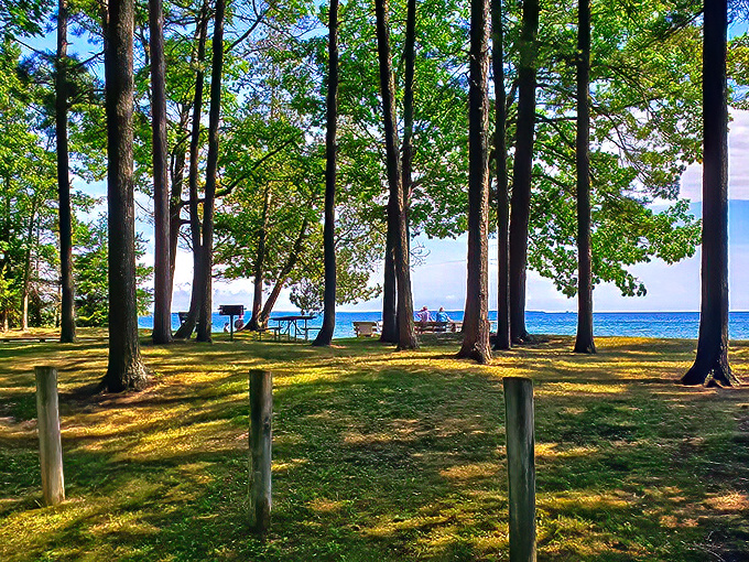 Picnic tables with million-dollar views. The only reservation required is the mental note to return again next summer.
