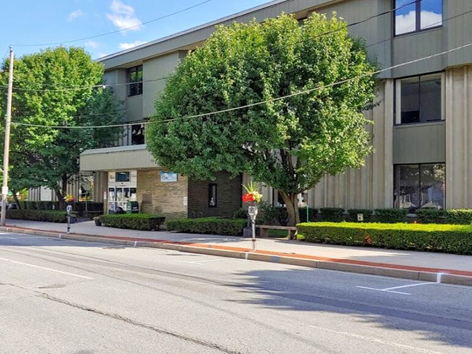 Clean lines and leafy surroundings make this modern building a community cornerstone. Knowledge and air conditioning&mdash;two things you appreciate more as you age.