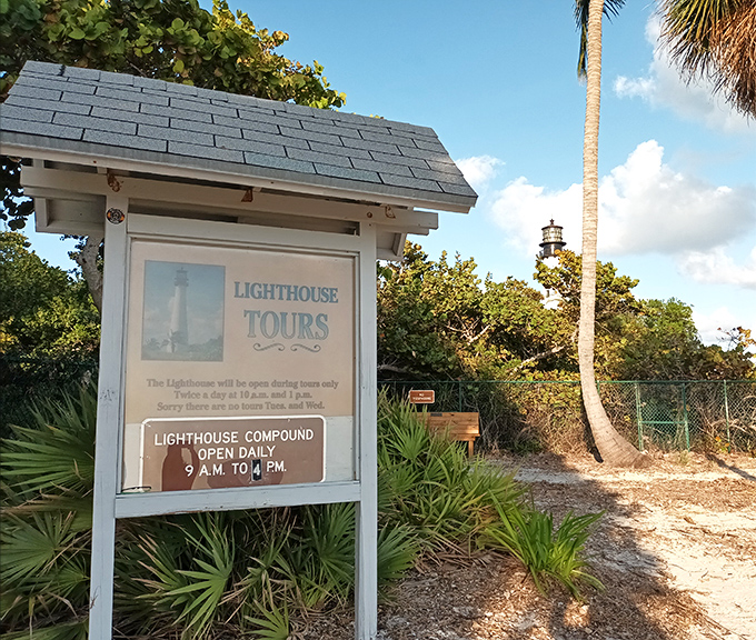 "Tours twice daily" reads the sign, but what it doesn't mention is the lifetime of stories you'll tell after climbing this historic beacon.