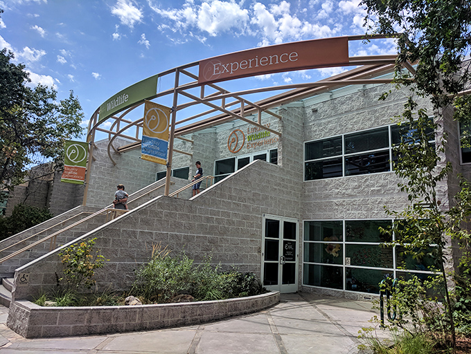 The Lindsay Wildlife Experience building invites exploration with its modern design. Nature and education combine in a space that makes learning feel like an adventure, not a lecture.