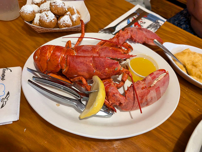 That lobster's living its best afterlife, swimming in a pool of melted butter paradise.