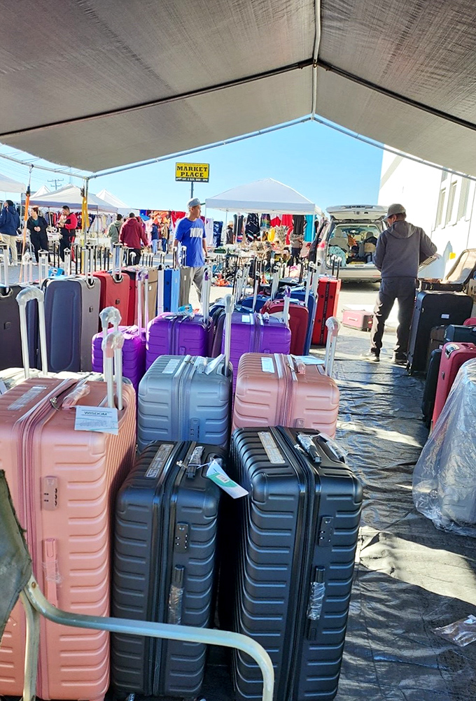 Luggage galore for the wanderlust-stricken soul. These colorful travel companions are ready for their next adventure &ndash; will it be with you?