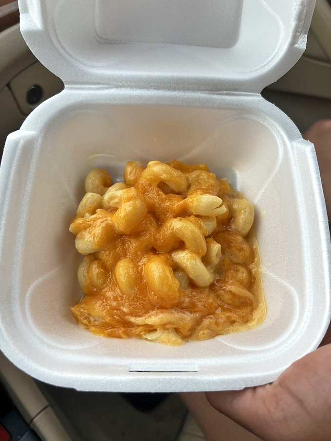 Mac and cheese so good you'll invent reasons to take the scenic route home just to extend your relationship with it.