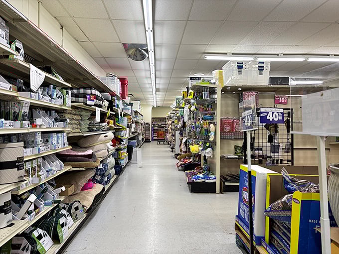 Aisles stretching toward retail infinity, filled with pet beds, household essentials, and unexpected finds that weren't on your list but somehow become necessities.