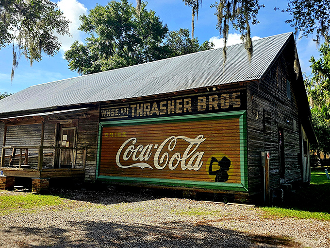 Local history comes alive in museums that transform dusty artifacts into captivating tales of yesteryear.