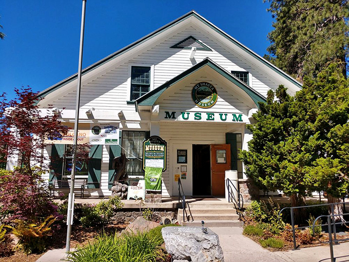 Mountain history comes alive through exhibits showcasing the area's fascinating geological and cultural past perfectly.