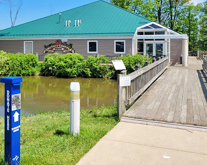 The Nature Center: where learning about local wildlife becomes as entertaining as Saturday morning cartoons.