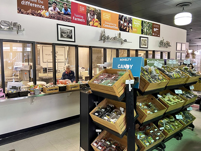 A candy wonderland where novelty meets nostalgia. Those wooden display bins hold more than treats&mdash;they contain childhood memories waiting to be rediscovered.
