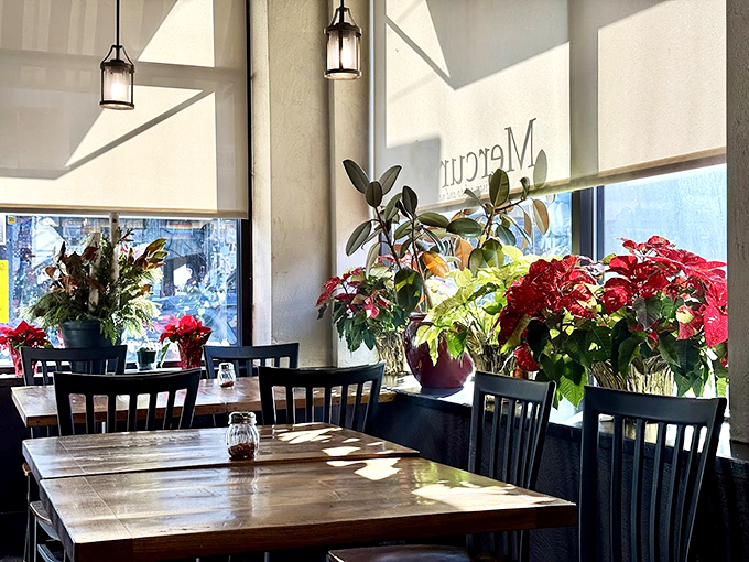 Sunlight streams through windows, illuminating tables adorned with plants &ndash; proving that pizza paradise can also be an urban oasis.
