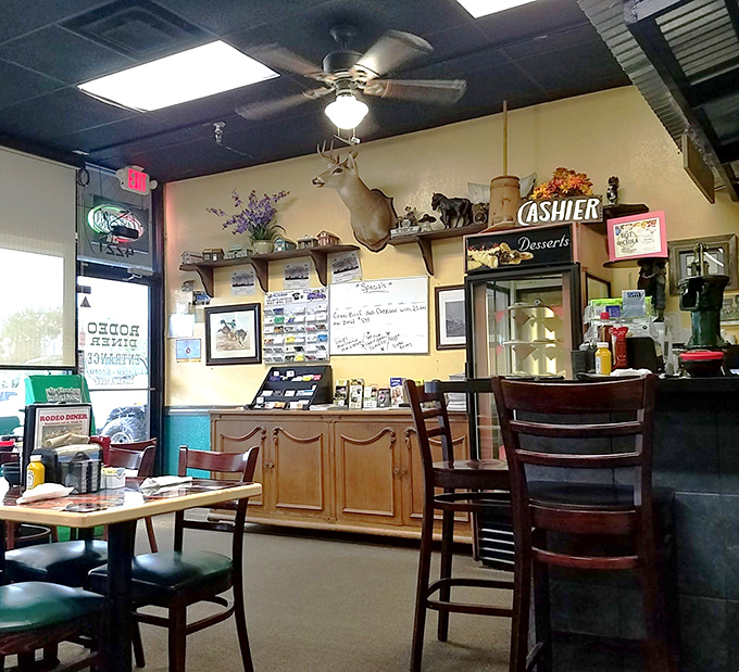 Western-themed d&eacute;cor meets classic diner functionality &ndash; where mounted deer heads watch over your breakfast with silent approval.
