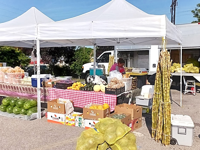 Fresh produce under pristine white tents. Those sugar canes and watermelons didn't travel far to reach your weekend shopping basket.