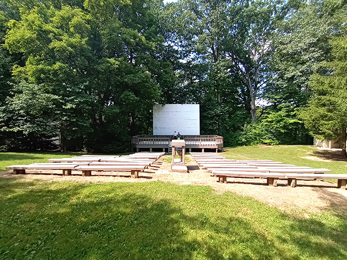 Movie night gets an upgrade with this outdoor amphitheater where the pre-show entertainment is provided by chattering birds and rustling leaves.