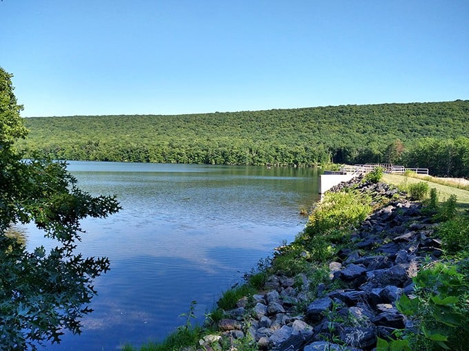 Owl Creek Reservoir reflects both sky and surrounding forest, offering serene fishing spots where retirement dreams don't require a second mortgage.